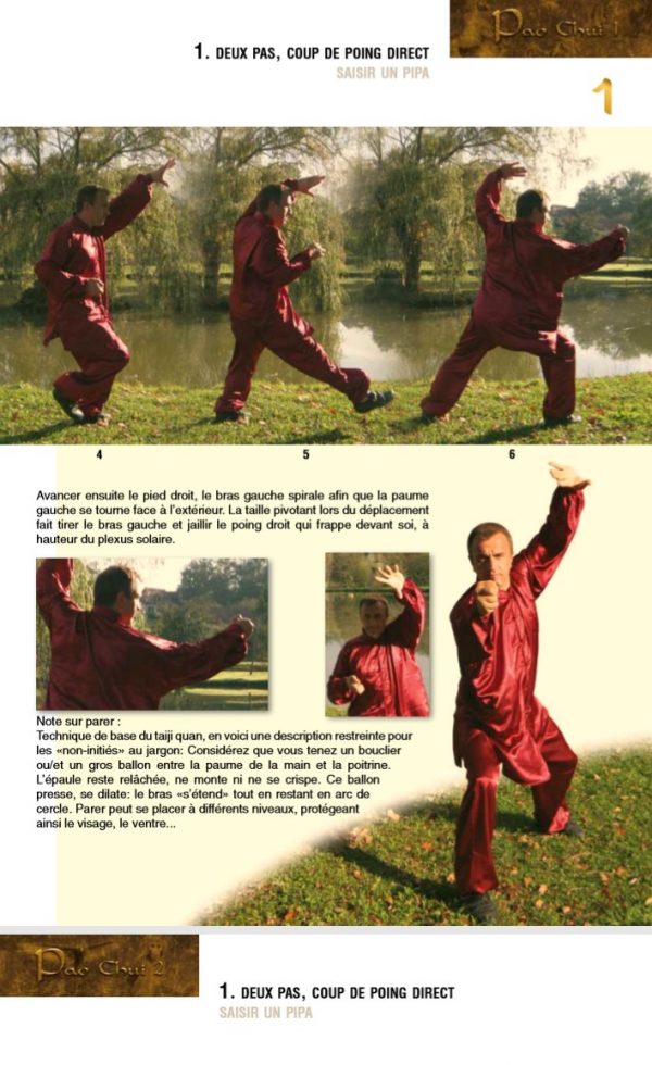 Manuel technique San Shou par Thierry Alibert